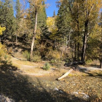 Sinclair Canyon Trails - Village of Radium Hot Springs