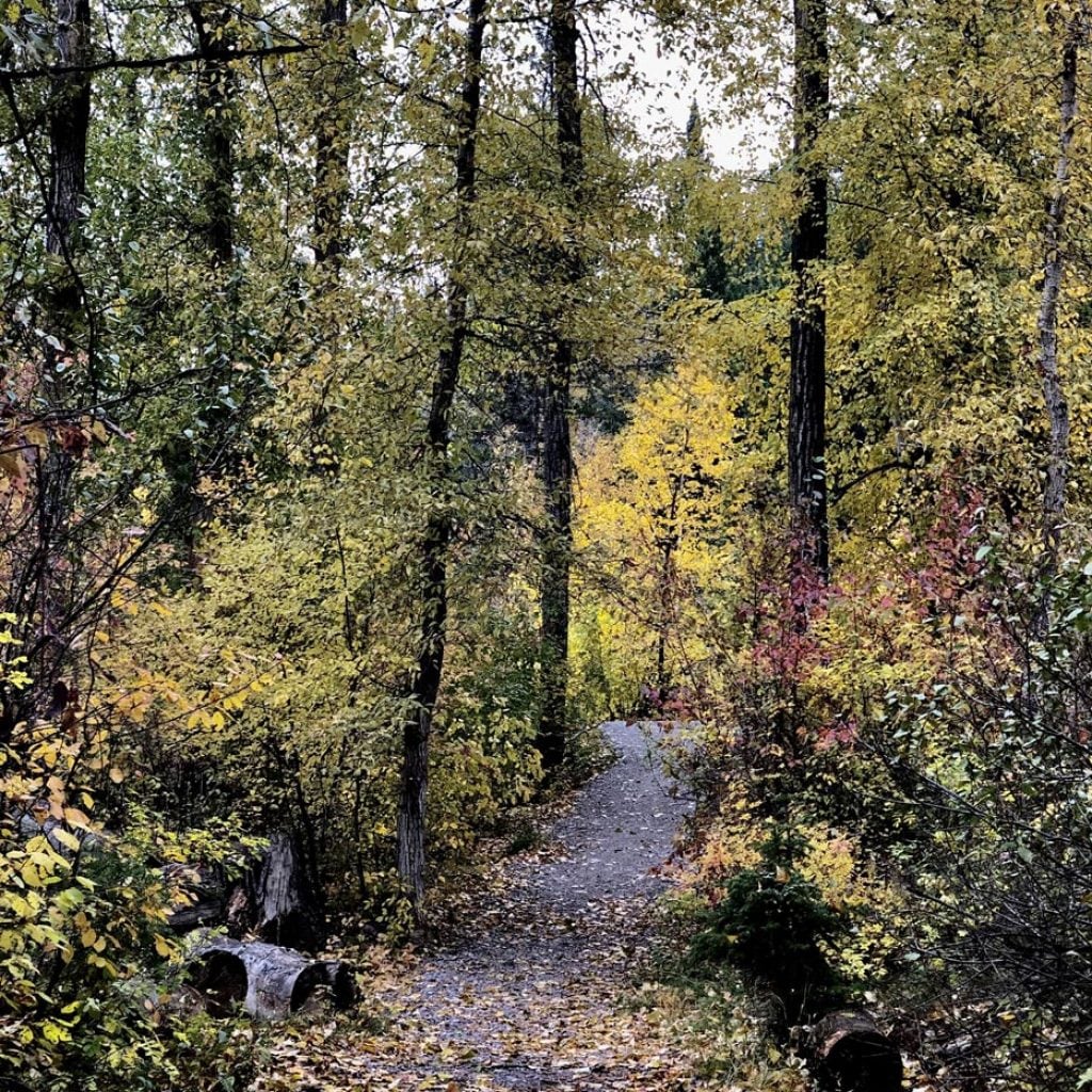 Sinclair Canyon Trails - Village of Radium Hot Springs