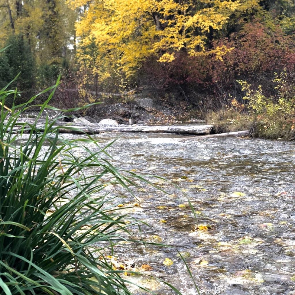Sinclair Canyon Trails - Village of Radium Hot Springs