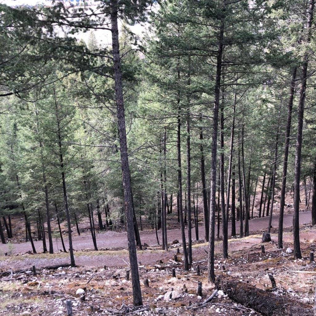 Sinclair Canyon Trails - Village of Radium Hot Springs
