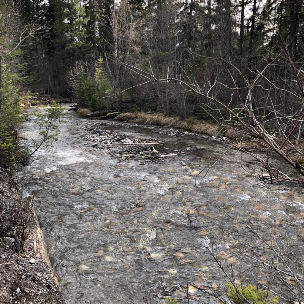 Sinclair Canyon Trails - Village of Radium Hot Springs