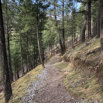 Sinclair Canyon Trails - Village of Radium Hot Springs