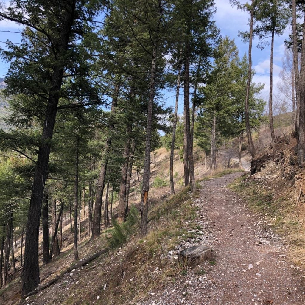 Sinclair Canyon Trails - Village of Radium Hot Springs